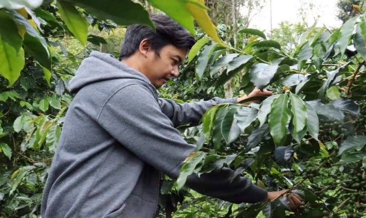 Petani Terbukti Sukses Berkat Korporasi Petani Perkebunan